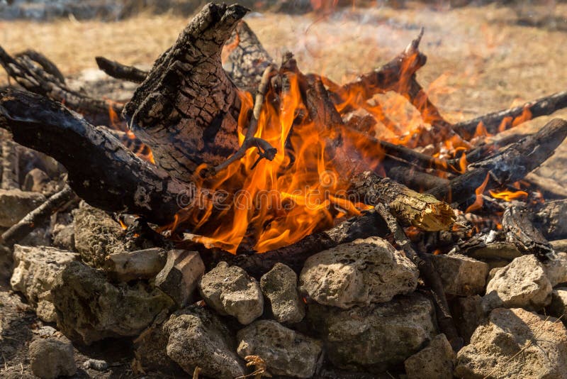 Camp fire in the forest stock photo. Image of fuel, blaze - 159810004