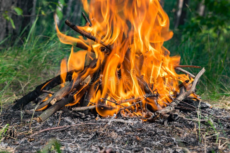Camp fire stock image. Image of weekend, park, adventure - 40362437