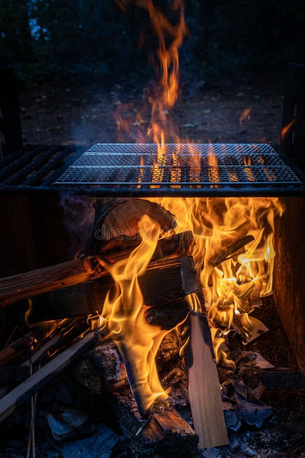 Camp Fire with Grill Ready To Cook Stock Photo - Image of camp, camping ...
