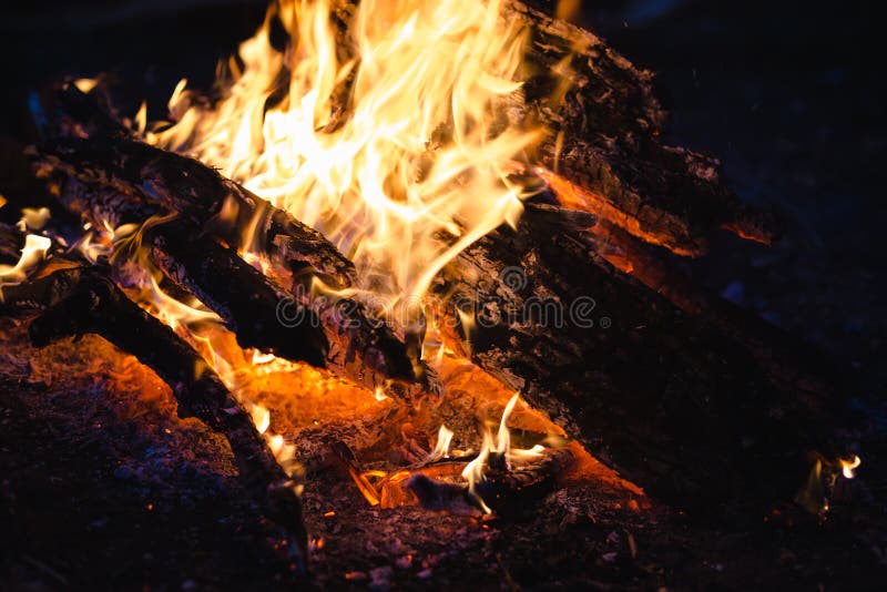 Camp Fire at Night in the Forest Stock Photo - Image of cooking ...
