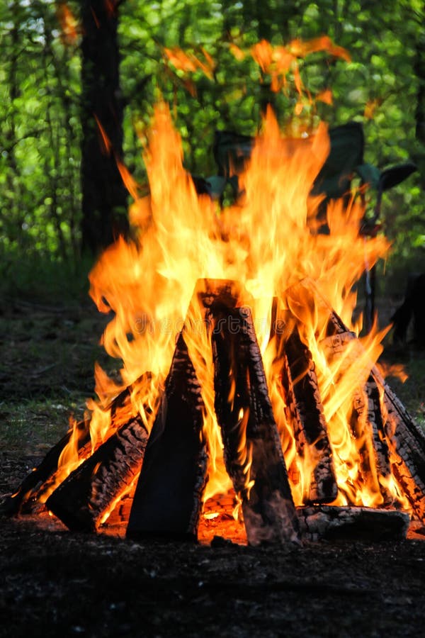 Camp fire picnic stock image. Image of firewood, nature - 67031903