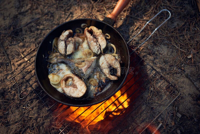 Camp Fire and Preparing Tuna Fish on Pan. Grilling Fresh Fish on Fire ...