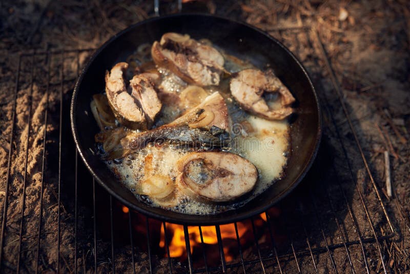Camp Fire and Preparing Tuna Fish on Pan. Grilling Fresh Fish on Fire ...