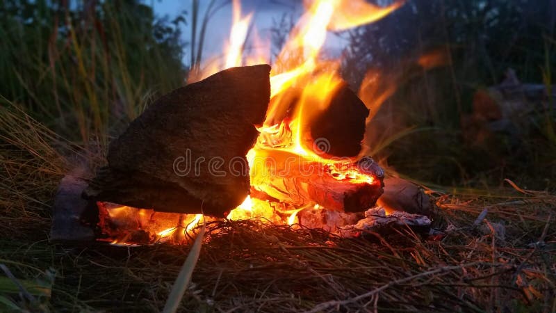 Camp fire stock image. Image of logs, lake, camp, summer - 139812335