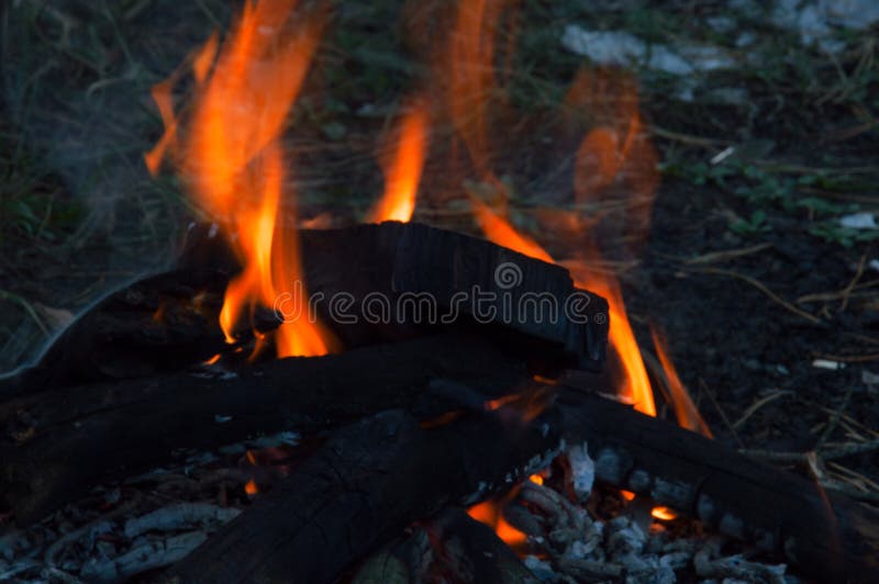 Camp Fire in the Summer Evening Stock Image - Image of bright, burn ...
