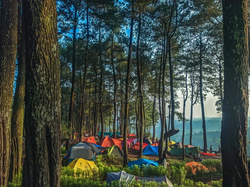 Camp Ground the Location in Indonesia Stock Image - Image of location ...