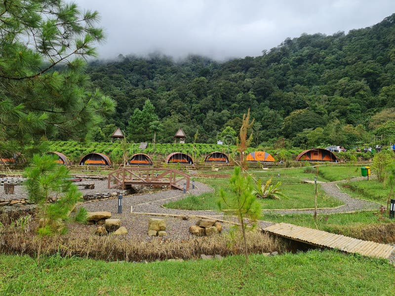 The Camp in Hidden Gems at Tea Trees Farm Stock Image - Image of trees ...