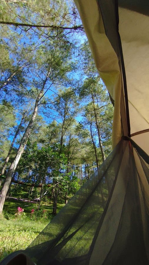 Camp Idea in the Forest Camping Ground Stock Photo - Image of ground ...