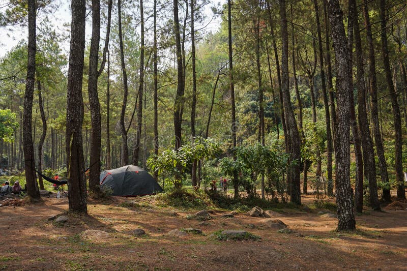 Camp Site and River Stream Waterfall in Forest Landscape at Bedengan ...