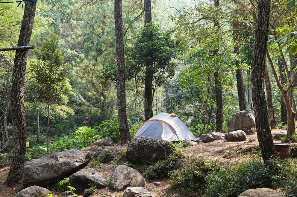 Camp Site in the Forest, Campground at Bedengan, East Java, Indonesia ...