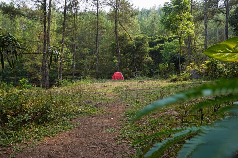 Camp Site and River Stream Waterfall in Forest Landscape at Bedengan ...