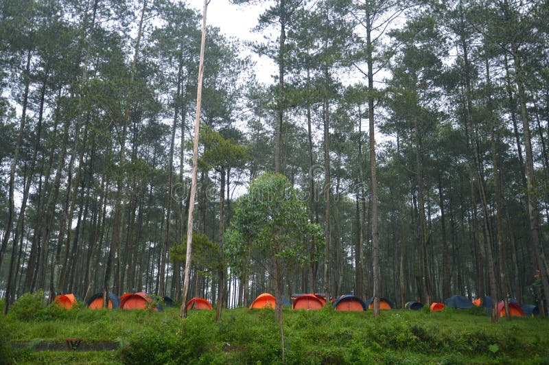Camp in the woods stock image. Image of light, countryside - 52091121