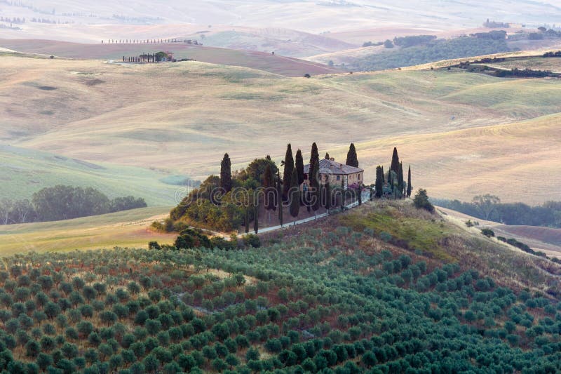 Campagna Di Alba Della Toscana, Italia Immagine Stock - Immagine di ...