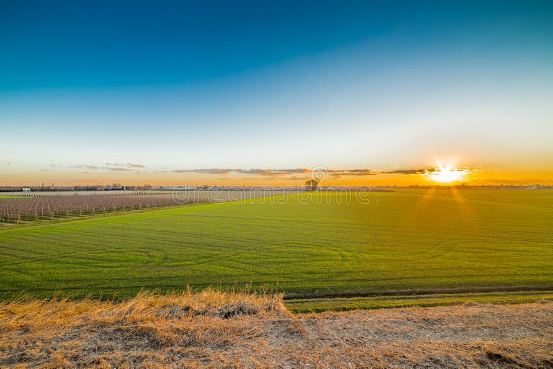 Campagna Di Emilia Romagna in Italia Fotografia Stock - Immagine di ...
