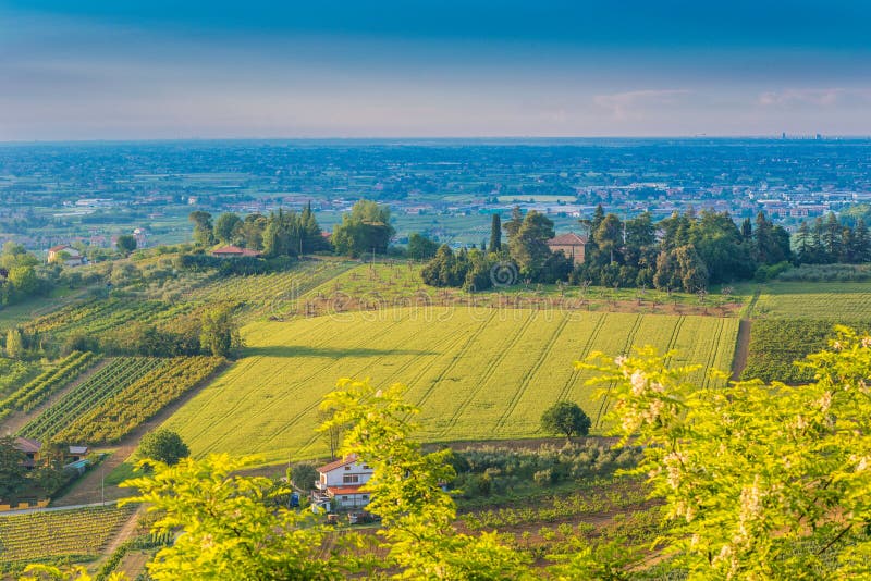 Campagna Di Emilia Romagna in Italia Fotografia Stock - Immagine di ...