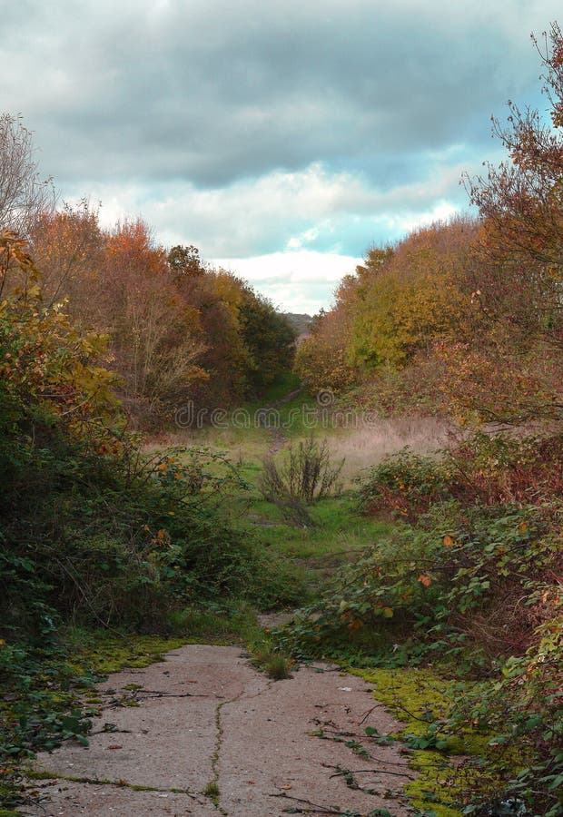 Campagne Anglaise En Automne Photo stock - Image du anglais, coloré ...