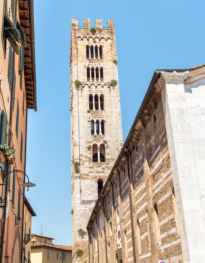 Campanile Della Basilica Di San Frediano in Vecchia Città Lucca ... Campanile Della Basilica Di San Frediano in Vecchia Città Lucca ...