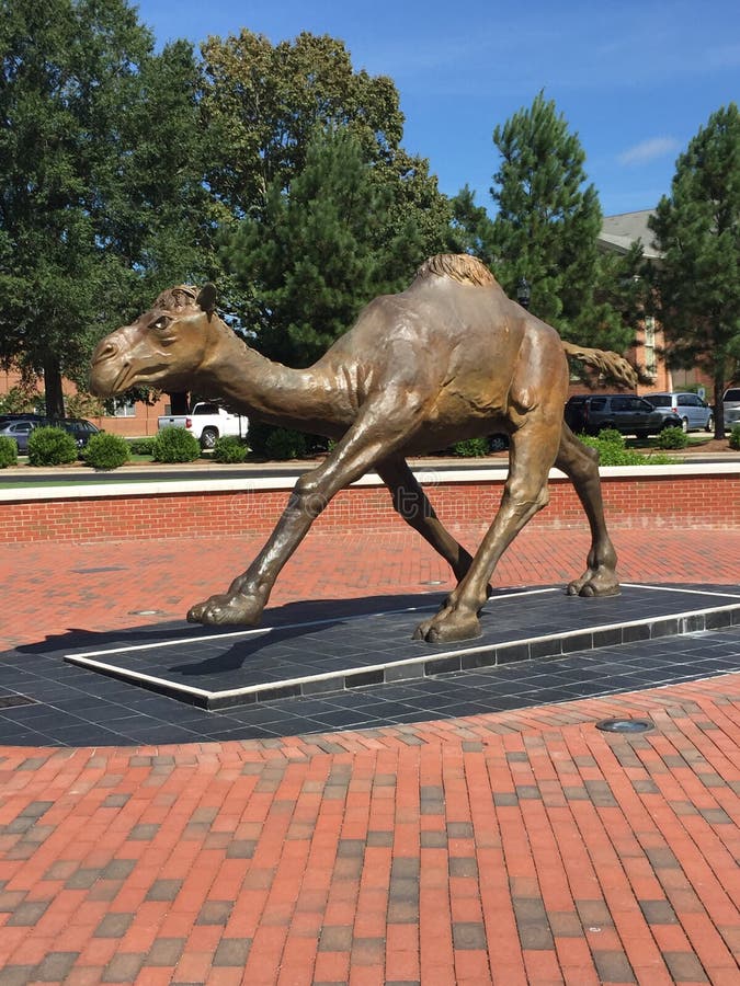 Camels Mascot Stock Photos - Free & Royalty-Free Stock Photos from ...