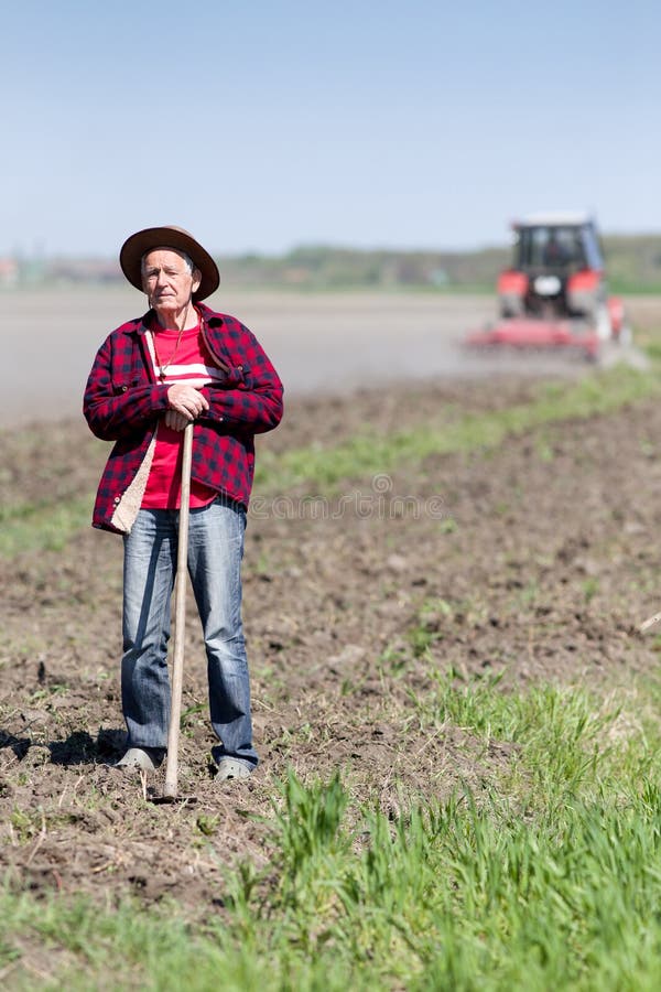 Campesino Mayor En Campo De La Cebada Imagen de archivo - Imagen de ...