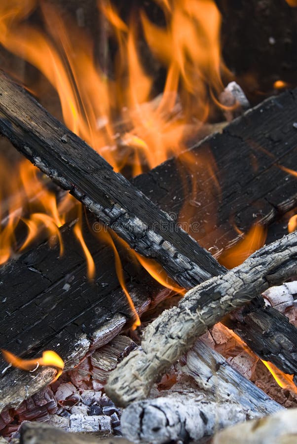Campfire stock photo. Image of slack, cinder, fire, diagonal - 12373840