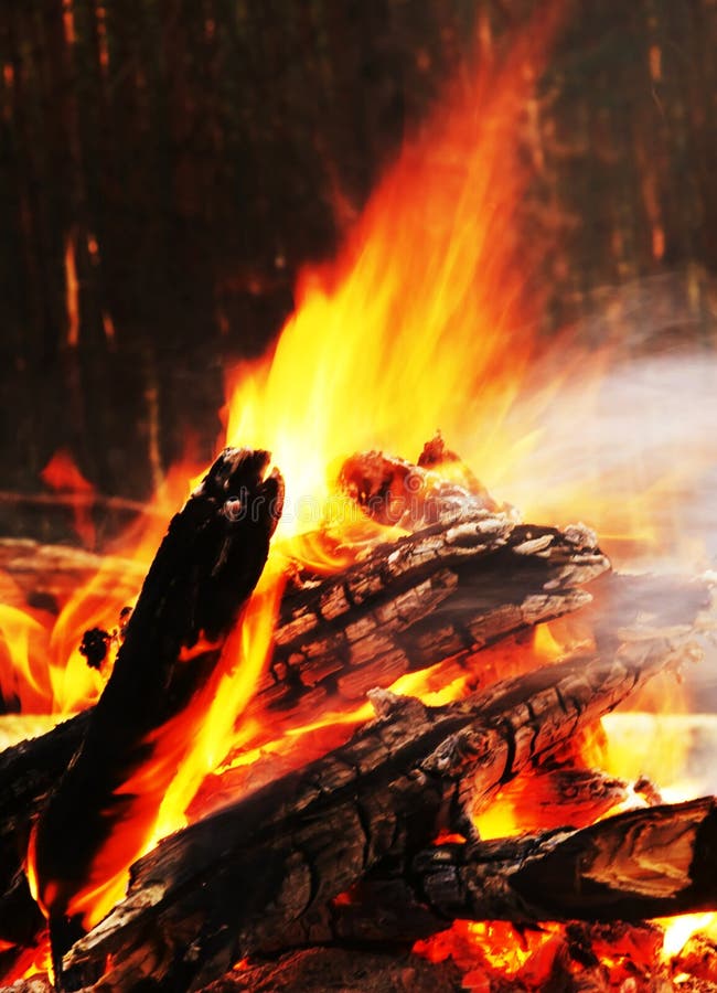 Campfire stock photo. Image of camping, flame, blaze, leisure - 3070726