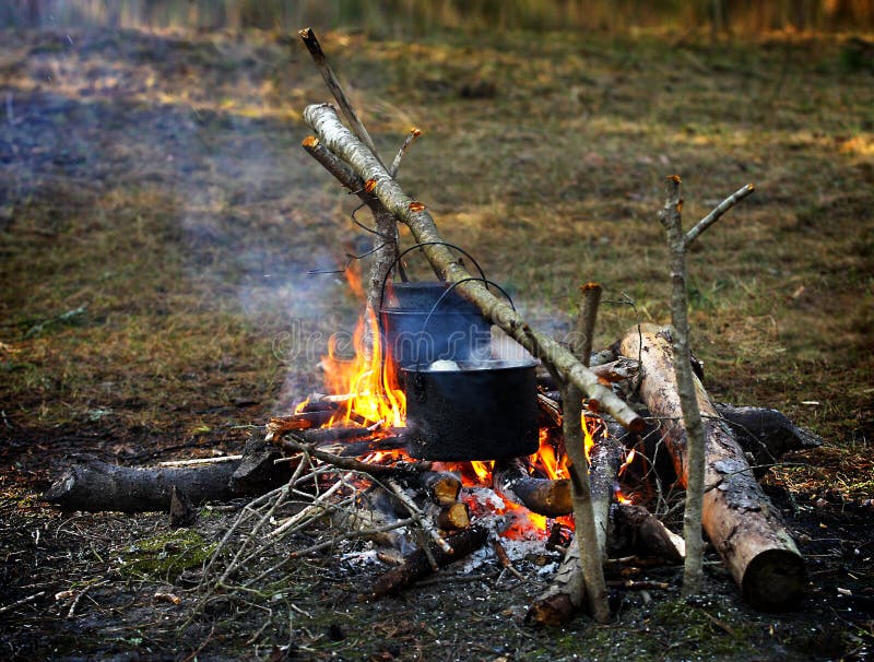 Roasting Chicken Over a Campfire Stock Photo - Image of clever ...