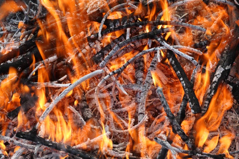 Campfire. stock image. Image of branch, smoke, wood, campfire - 5610189