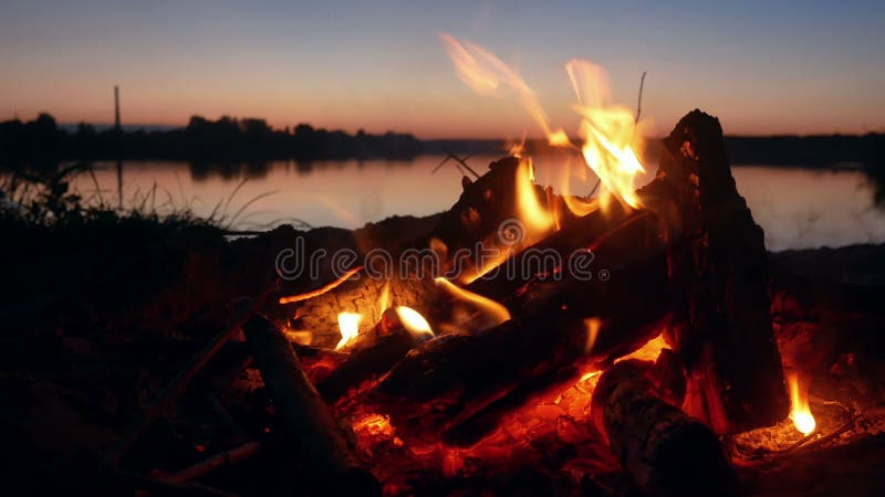 Campfire during a Beautiful Sunset on a Beach. Stock Video - Video of ...