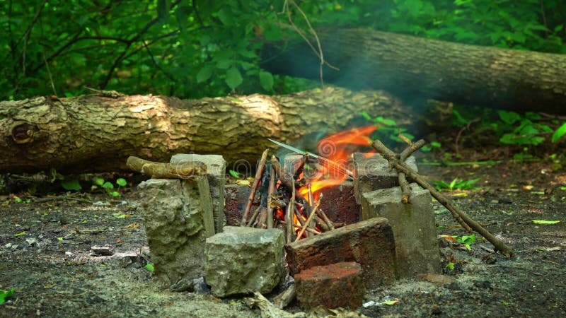 Campfire or Bonfire with Bricks in the Forest Stock Footage - Video of ...