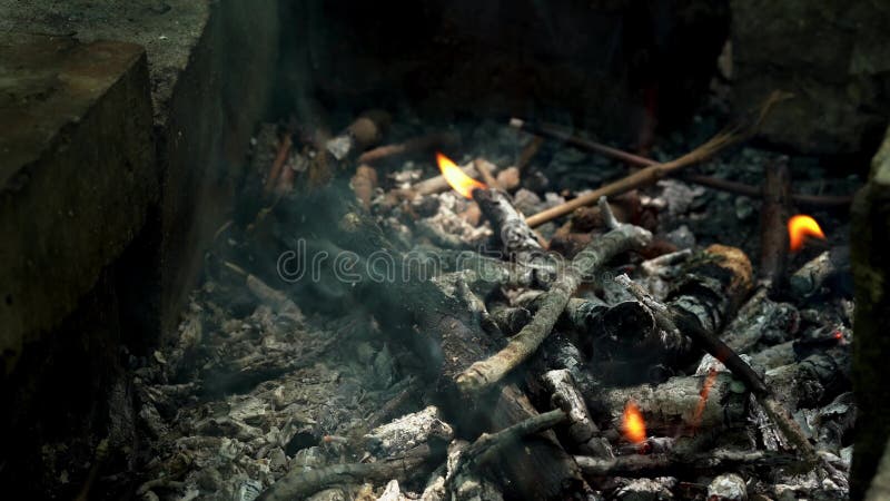 Campfire or Bonfire with Bricks in the Forest Stock Video - Video of ...