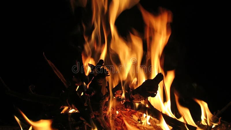 Campfire Burning Brightly during a Camping Trip Stock Video - Video of ...