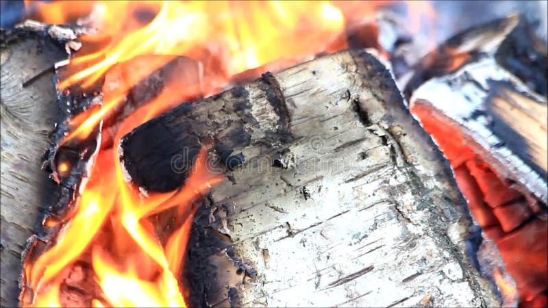 Campfire Burning Brightly at Dusk in the Mountains Stock Video - Video ...