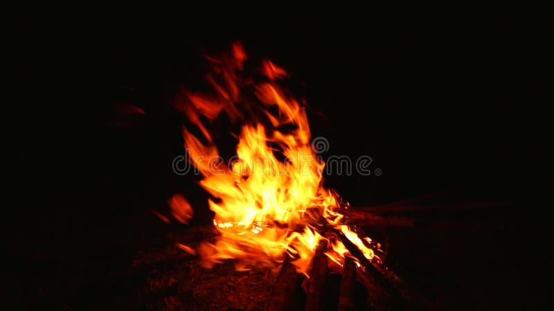 Burning Wood Fire in the Open Air. Flame of Fire in Nature. Close-up ...