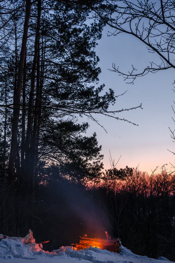 Campfire Burns in the Snow in the Forest Hill, on a Background of Snow ...