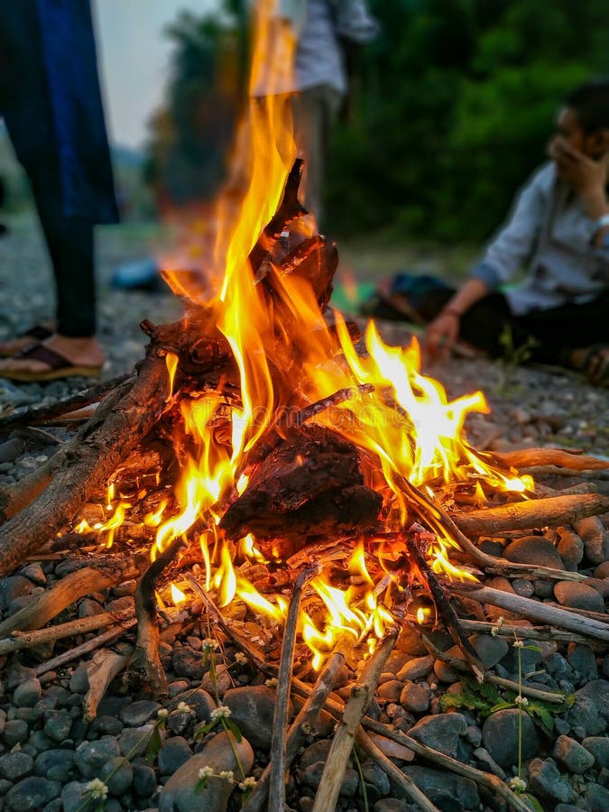 Campfire stock photo. Image of canbis, medical, fire - 195790032