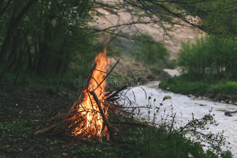 Campfire stock photo. Image of burning, energy, fire - 53948100