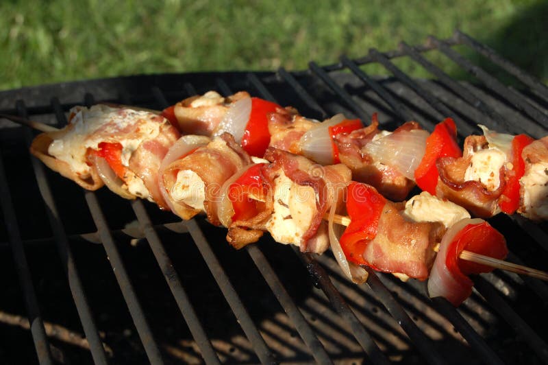 Campfire Chicken Kabobs stock photo. Image of fire, chicken - 93742912