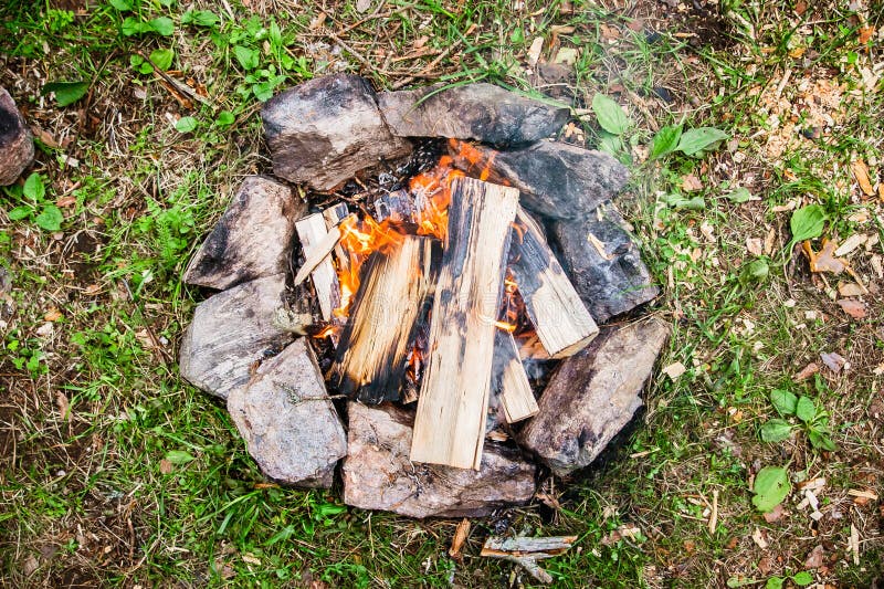 Campfire In The Pine Forest Stock Image - Image of adventure, flame ...