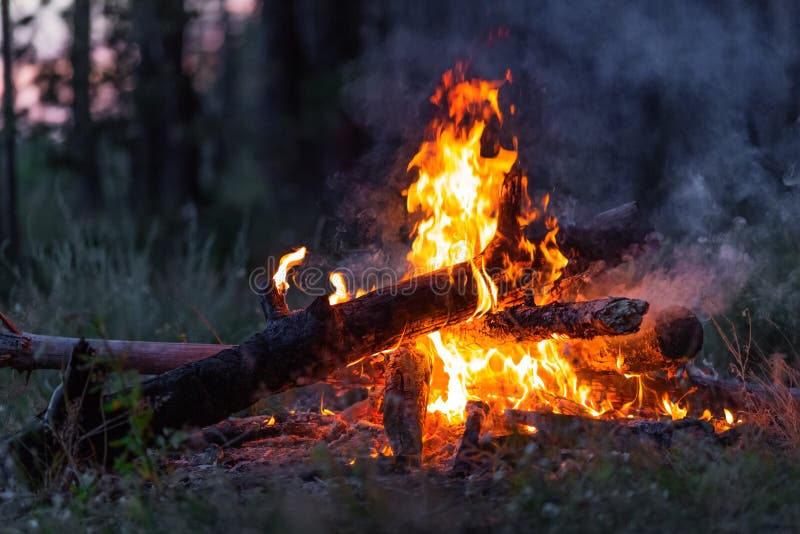 Campfire stock photo. Image of fireplace, flame, charcoal - 42878014