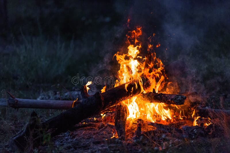 Campfire stock photo. Image of burn, fiery, firewood - 42878012