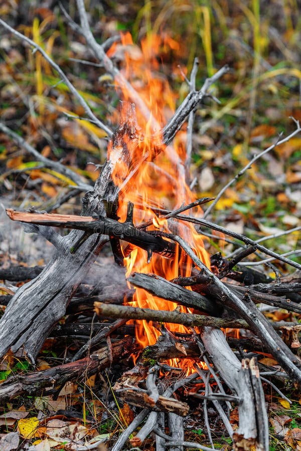 Campfire stock image. Image of funeral, danger, dangerous - 68832447