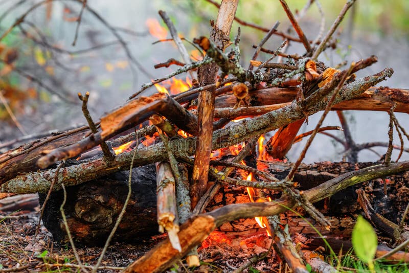 Campfire stock photo. Image of ground, blazing, fire - 77267776