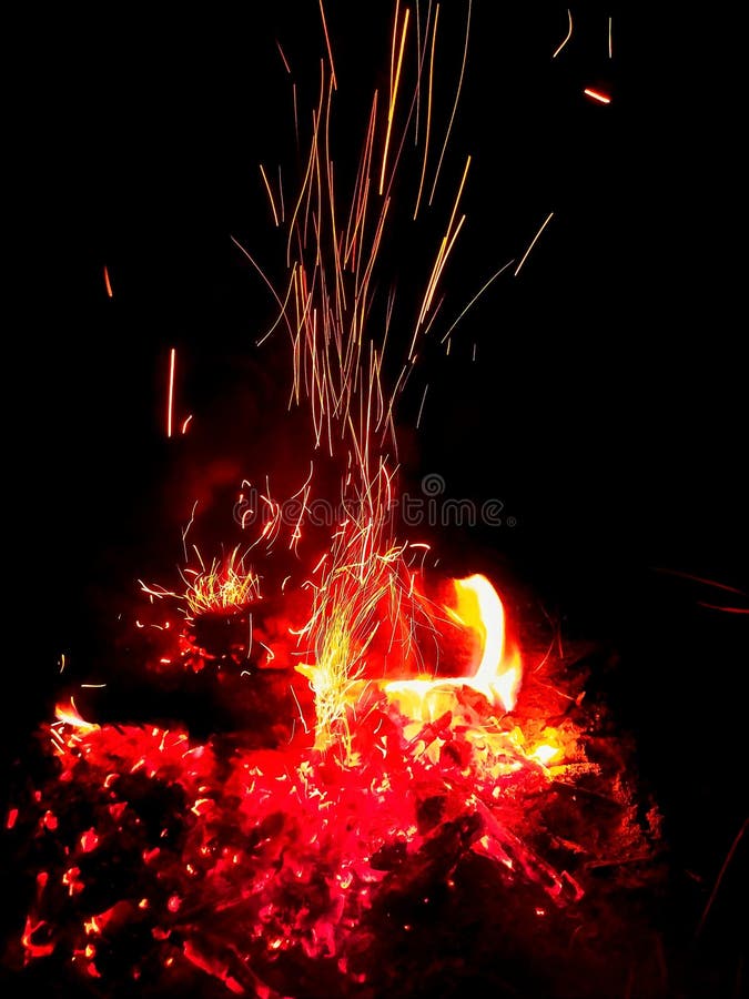 Campfire in Complete Dark Forest. Stock Image - Image of forest, light ...