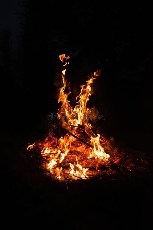 A Campfire in the Middle of the Dark Forest Stock Photo - Image of ...