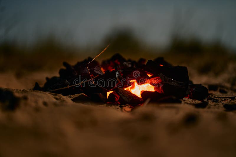 A campfire in the desert stock photo. Image of leaf - 274930748