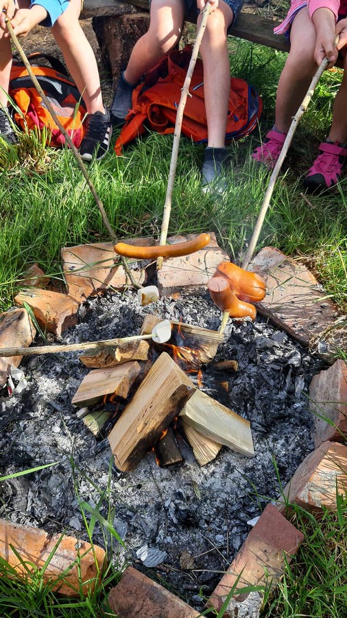 Campfire on a Field Trip Roasting Meat for the Boy Scouts Stock Image ...