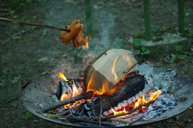 Campfire, Fire, Animal Source Foods, Forest Picture. Image: 131671350