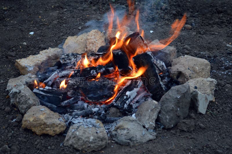 Campfire stock photo. Image of fire, coal, firewood, flare - 41554860