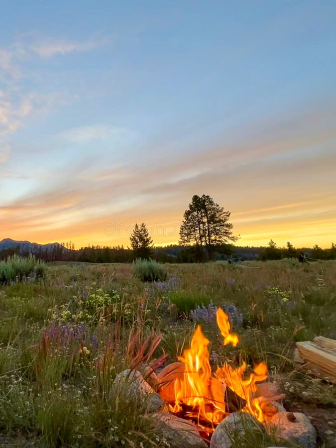 Campfire Flame in Mid Air in a Wildflower Meadow at Sunset with Trees ...