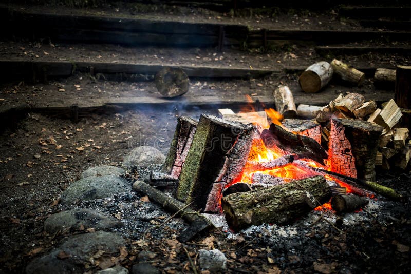 A campfire in the forest stock image. Image of activities - 195338969
